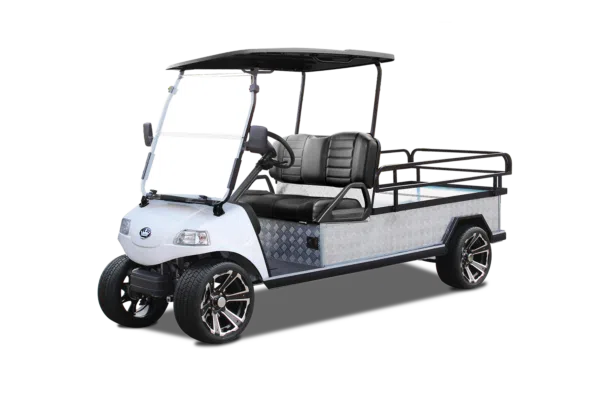 2025 Evolution Turfman 1000 Pro - Premium Utility Golf Cart